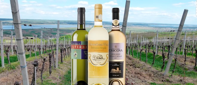 Wine Varieties of the World: 303 Wine Variety Types | TasteAtlas