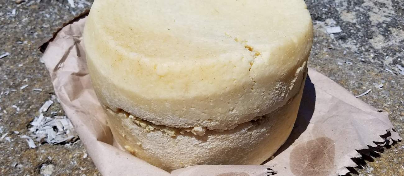 Casu Marzu | Local Cheese From Sardinia, Italy
