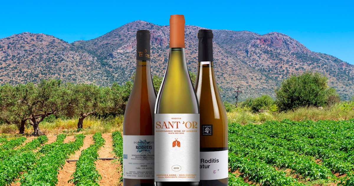 Roditis | Local Wine Variety From Greece, Southeastern Europe