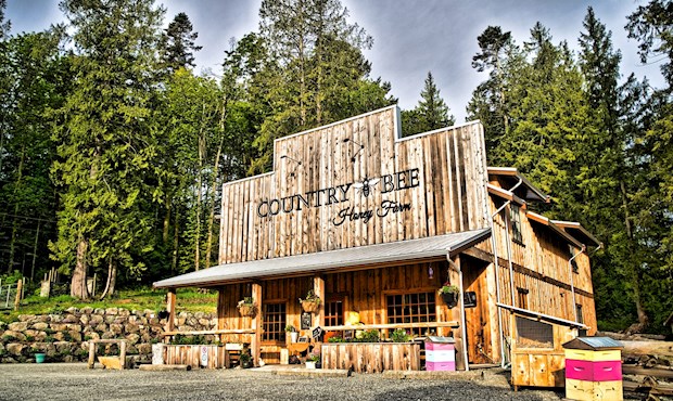 Country Bee Honey Farm Buckwheat Honey - Best Gourmet Products | TasteAtlas