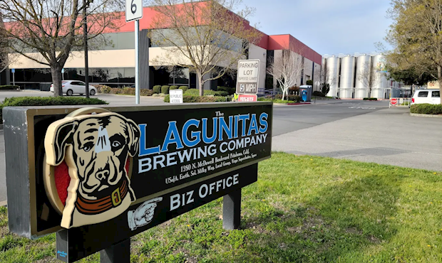 Lagunitas Brewing Lagunitas IPA - Best Gourmet Products | TasteAtlas