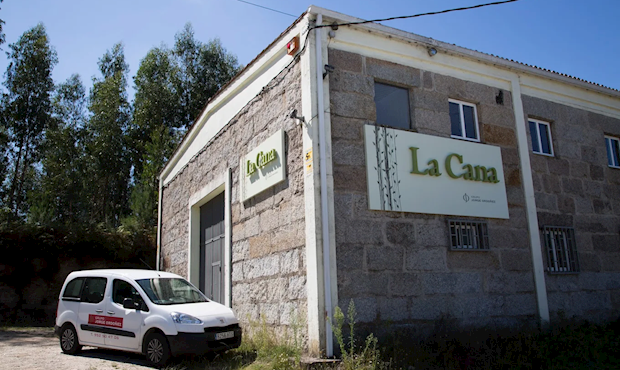 La Caña Navia Albariño - Best Gourmet Products | TasteAtlas