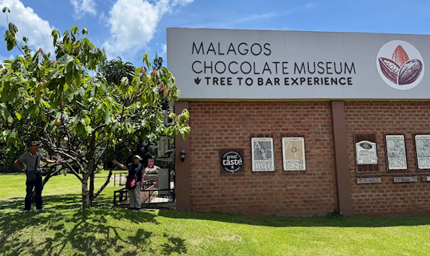 Malagos Chocolate Dark Chocolate 85% - Best Gourmet Products | TasteAtlas