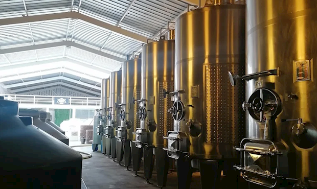 Pisco Cepas de Loro Pisco Mollar - Best Gourmet Products | TasteAtlas