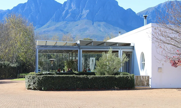 Morgenster Estate Extra Virgin Olive Oil - Best Gourmet Products ...