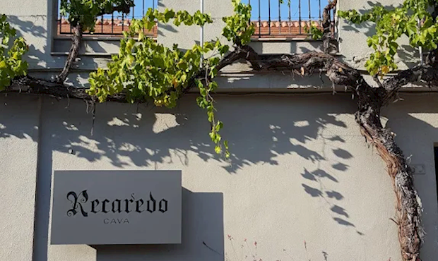 Recaredo Turó D’en Mota - Best Gourmet Products | TasteAtlas