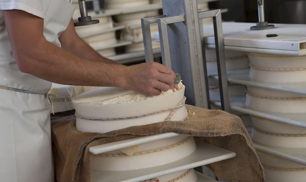 Arrigoni Sergio Formaggi Salva Cremasco DOP - Best Gourmet Products ...