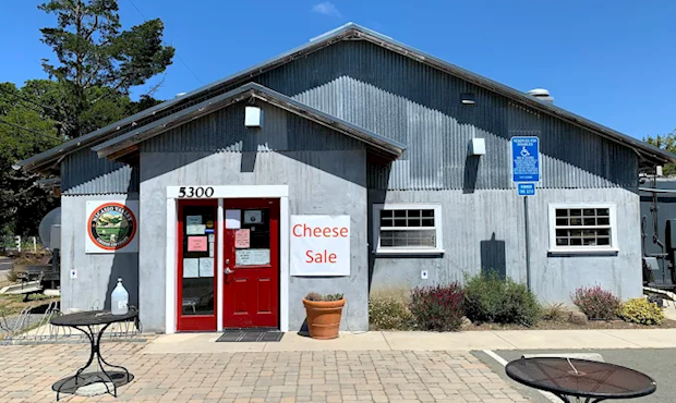 Nicasio Valley Cheese Formagella - Best Gourmet Products | TasteAtlas