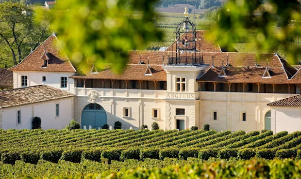 Château Angelus Saint-Émilion Grand Cru - Best Gourmet Products ...