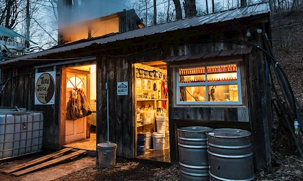 Tree Juice Maple Syrup - Best Gourmet Brands | TasteAtlas