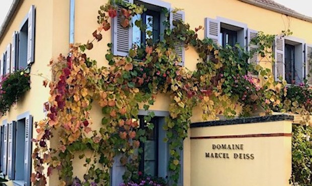 Domaine Marcel Deiss Alsace Rouge - Best Gourmet Products | TasteAtlas