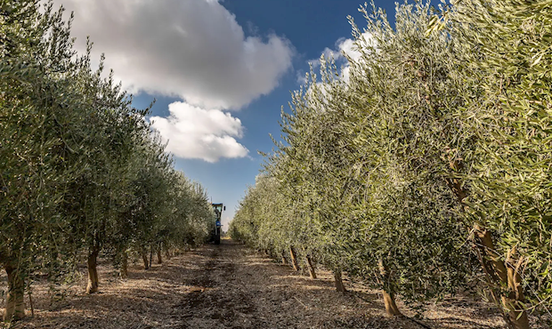 Carmey Golan - Best Gourmet Brands | TasteAtlas