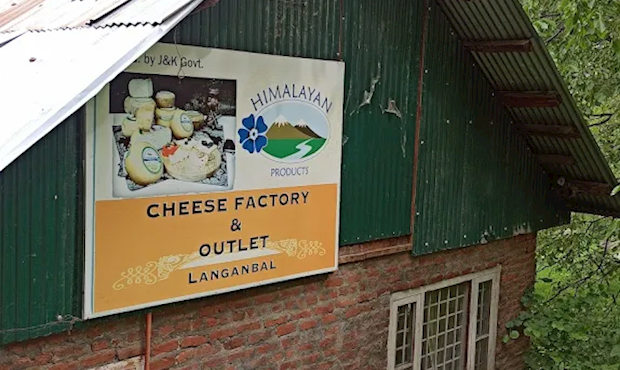 Himalayan Cheese Kalari - Best Gourmet Products | TasteAtlas