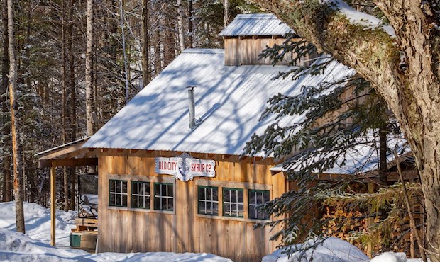 Old City Syrup Traditional Maple Syrup - Best Gourmet Products | TasteAtlas