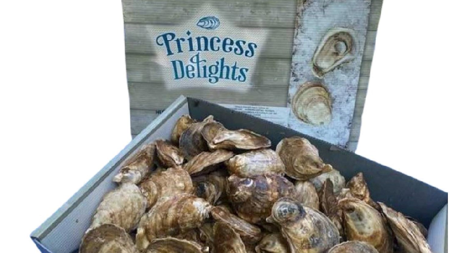 18 Best Oysters in the World - TasteAtlas