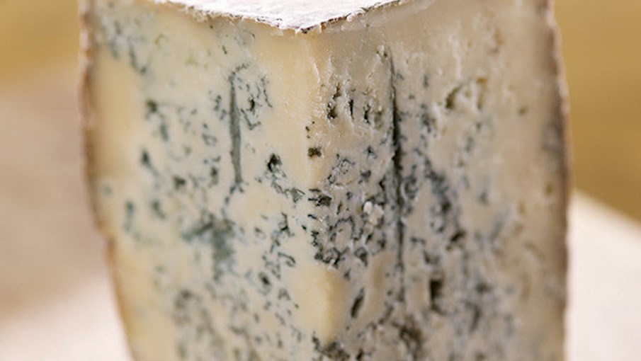 34 Best Blue Cheeses in the United States of America - TasteAtlas