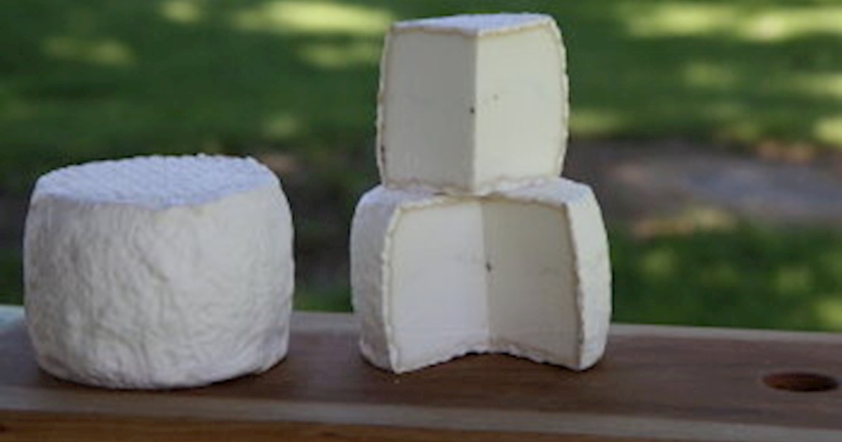 Ruggles Hill Creamery Claire's Mandell Hill - Best Gourmet Products ...