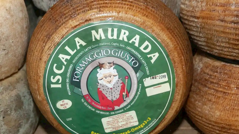 25 Best Cheeses in Sardinia - TasteAtlas