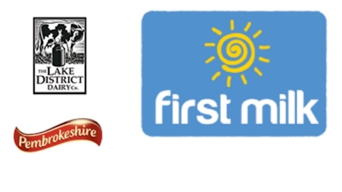 First Milk Cheese Company Haverfordwes Lighter Cheese - Best Gourmet ...