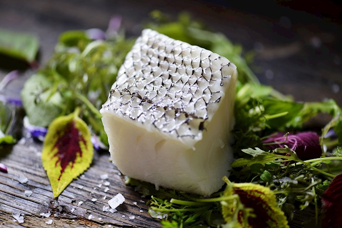Austral Fisheries Glacier 51 Toothfish - Best Gourmet Products | TasteAtlas
