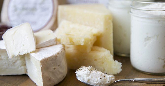 Fruition Farms Dairy & Creamery Sheep's Milk Ricotta - Best Gourmet ...