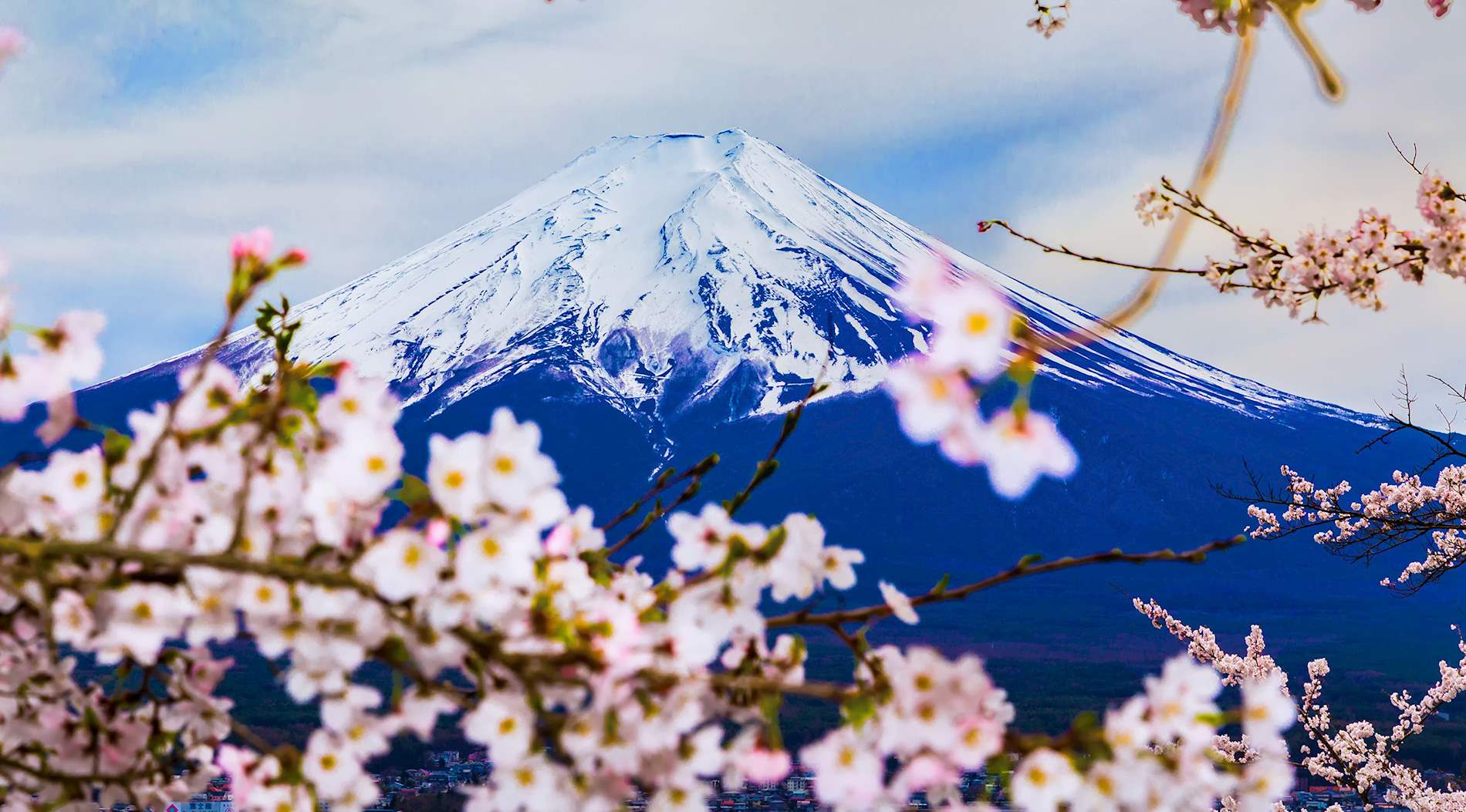 Eat Local in Yamanashi Prefecture