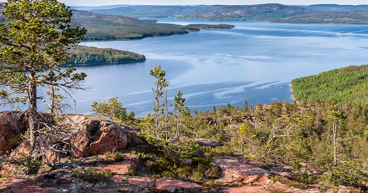 Eat Local in Norrland - TasteAtlas
