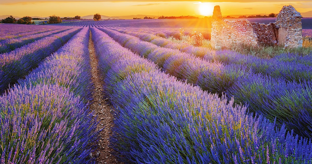 French Food Map | TasteAtlas