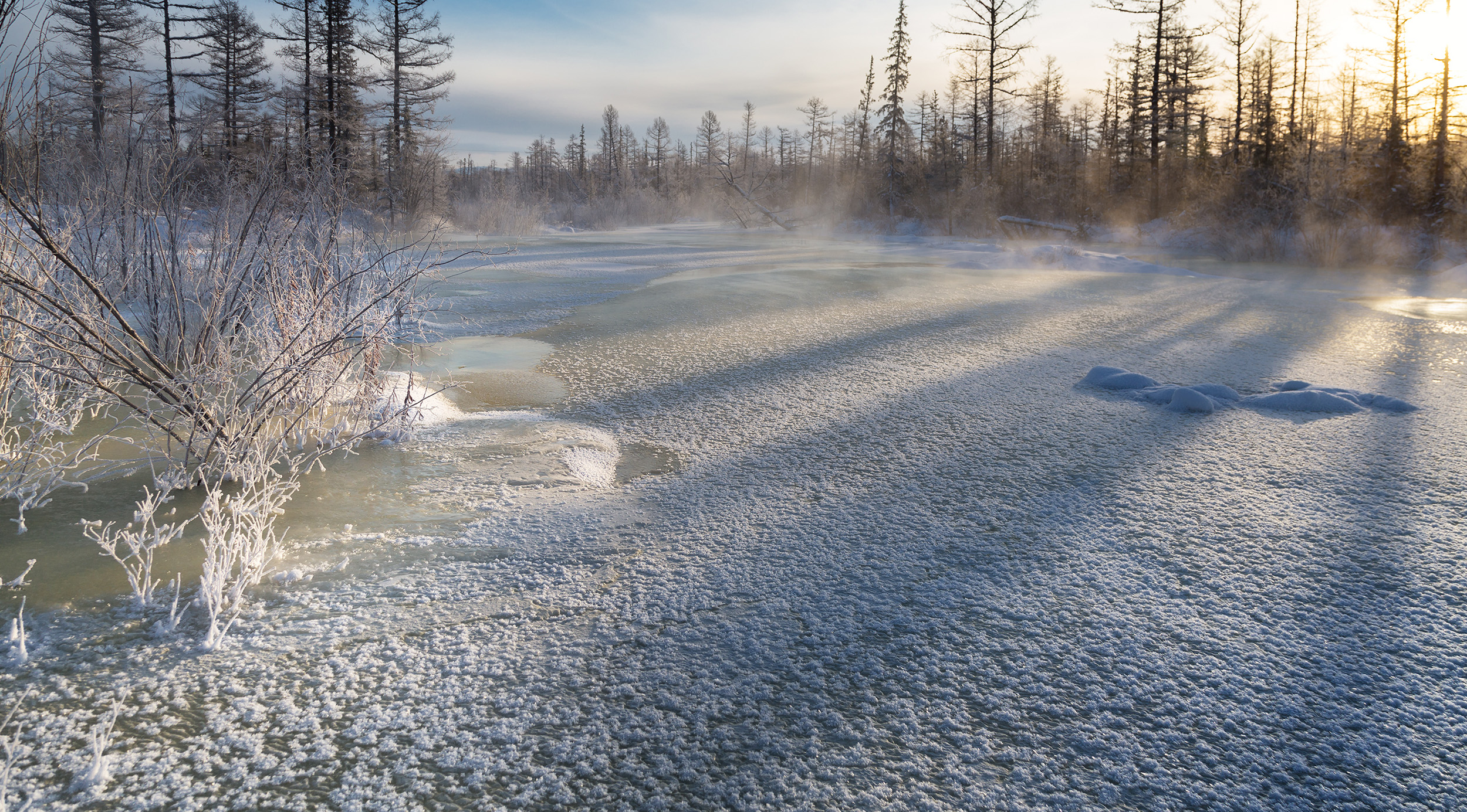 Eat Local in Sakha Republic