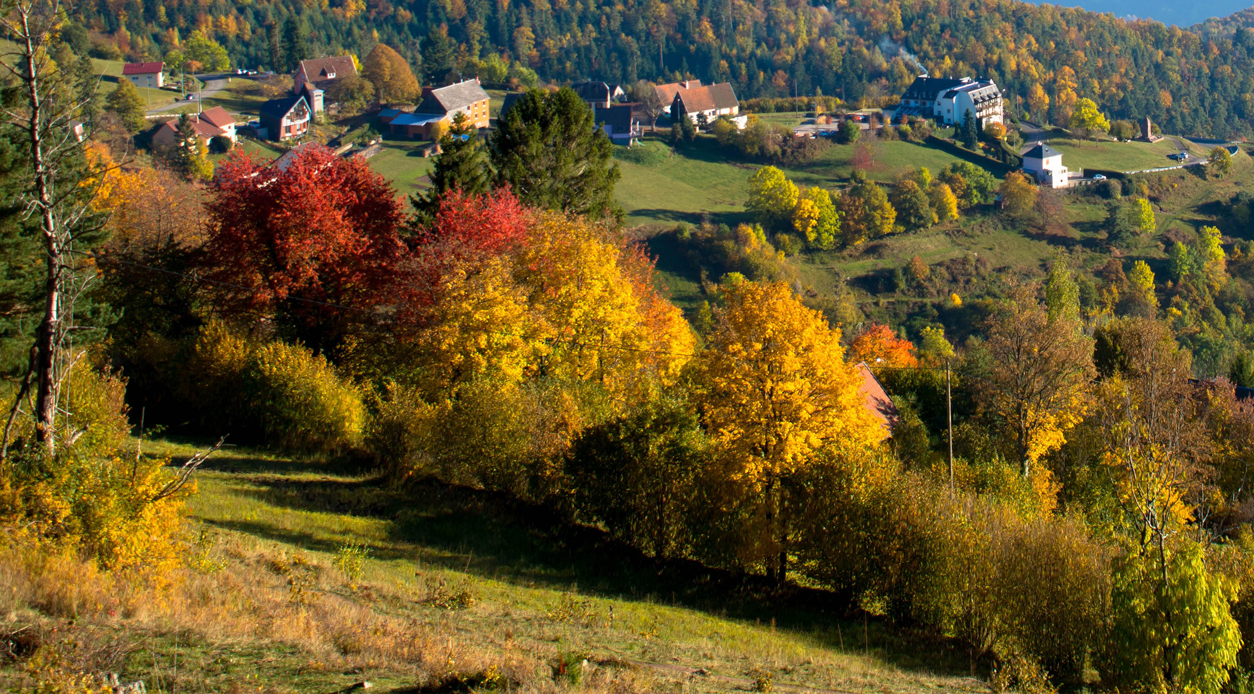 What to Eat in Munster | Munster Local Food | TasteAtlas