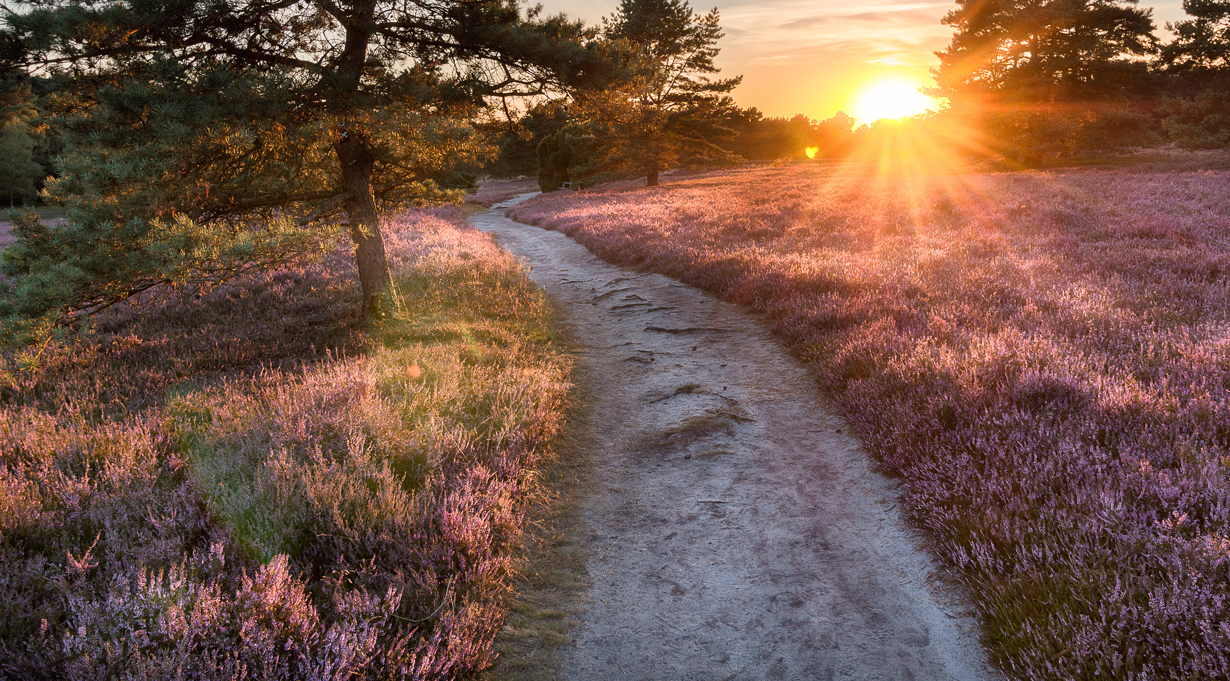 Lower Saxon Food Map | TasteAtlas