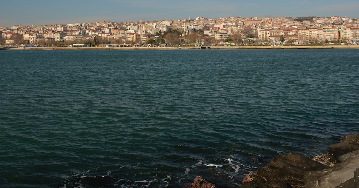 Eat Local in the Marmara Region