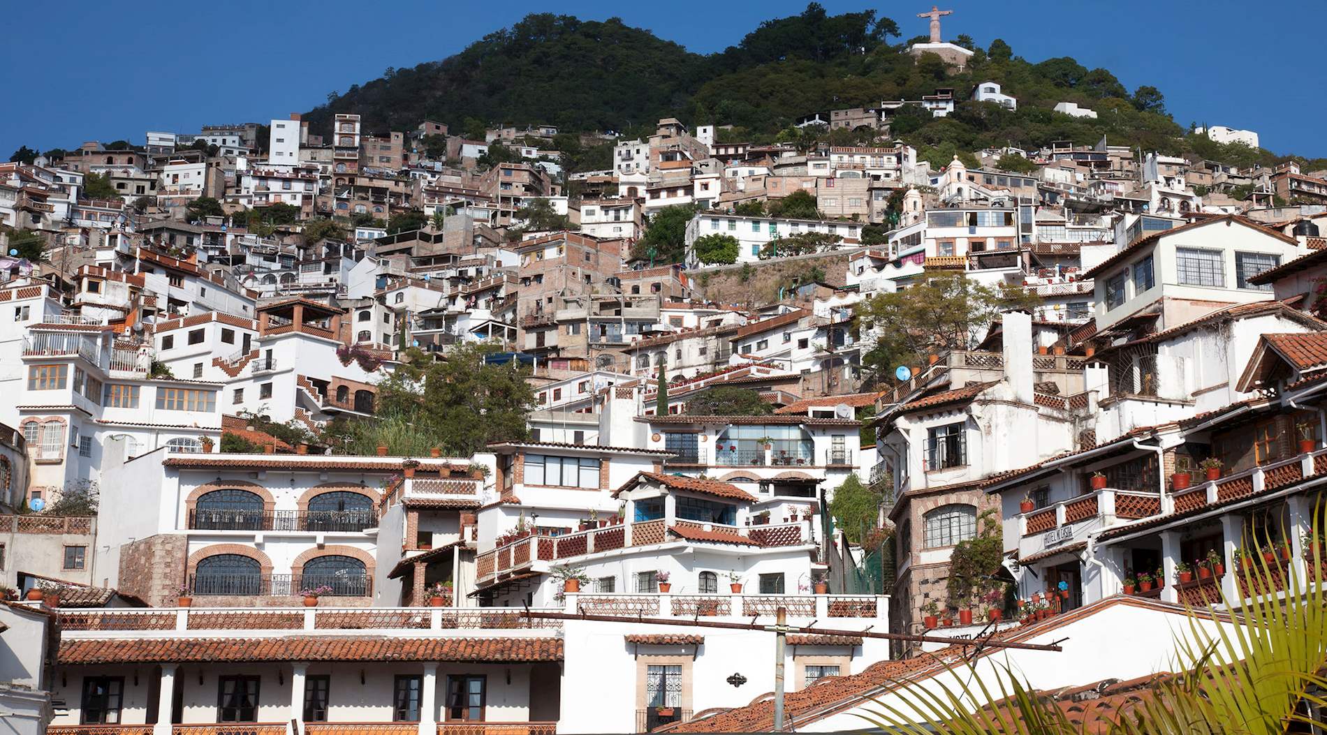 Eat Local in Taxco