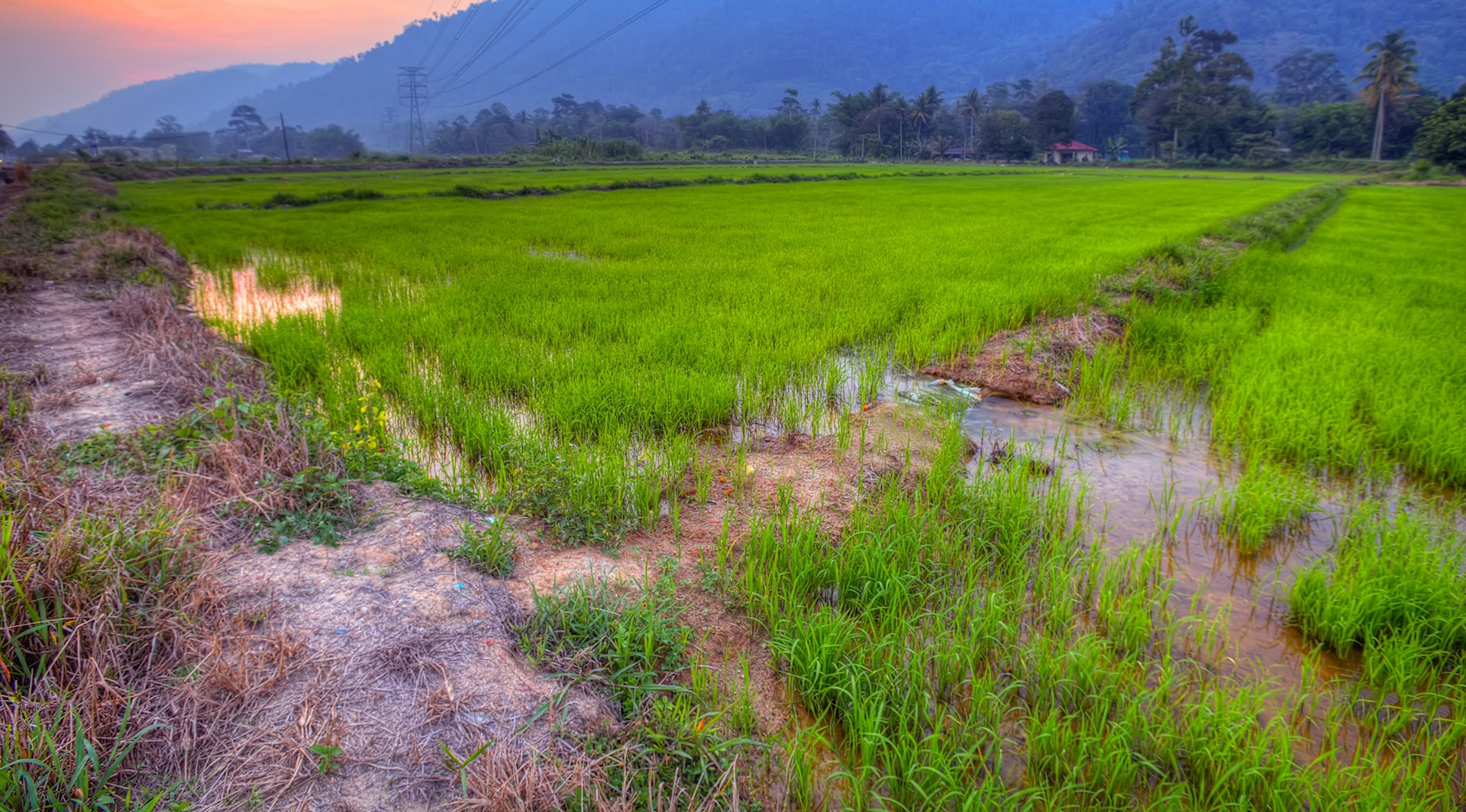 Eat Local in Negeri Sembilan - TasteAtlas