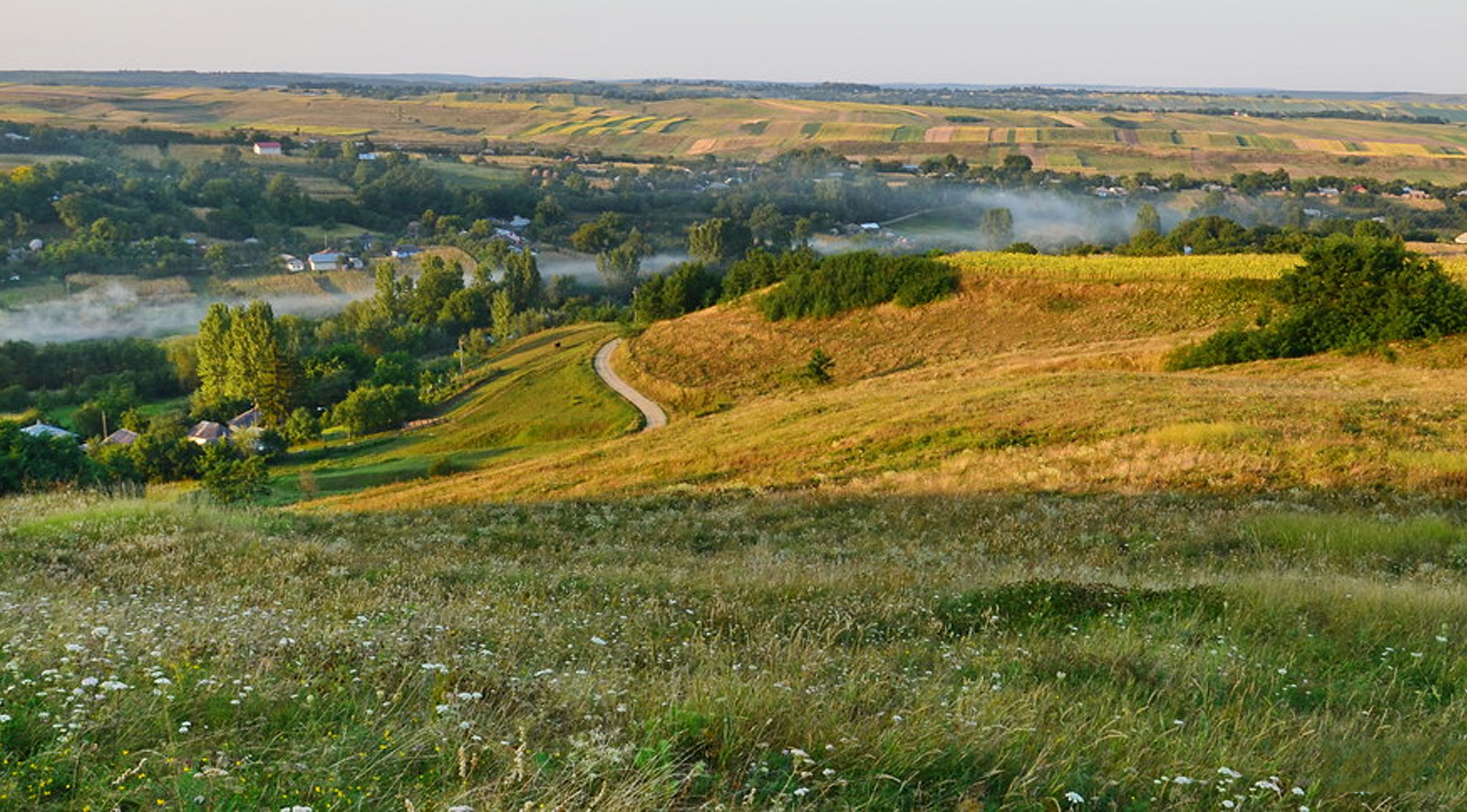Eat Local in Ibănești