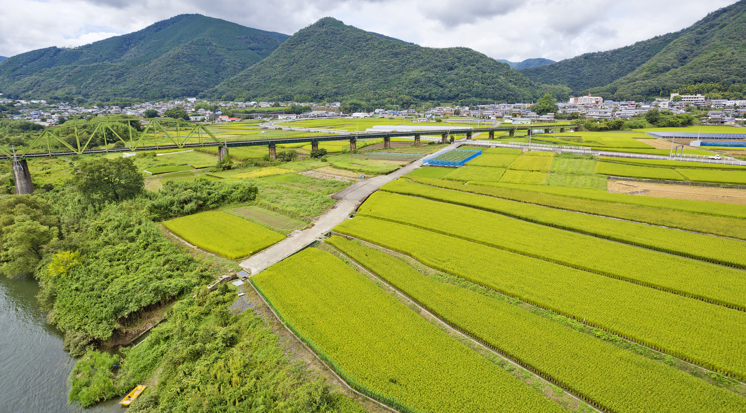 Eat Local in Tokushima Prefecture