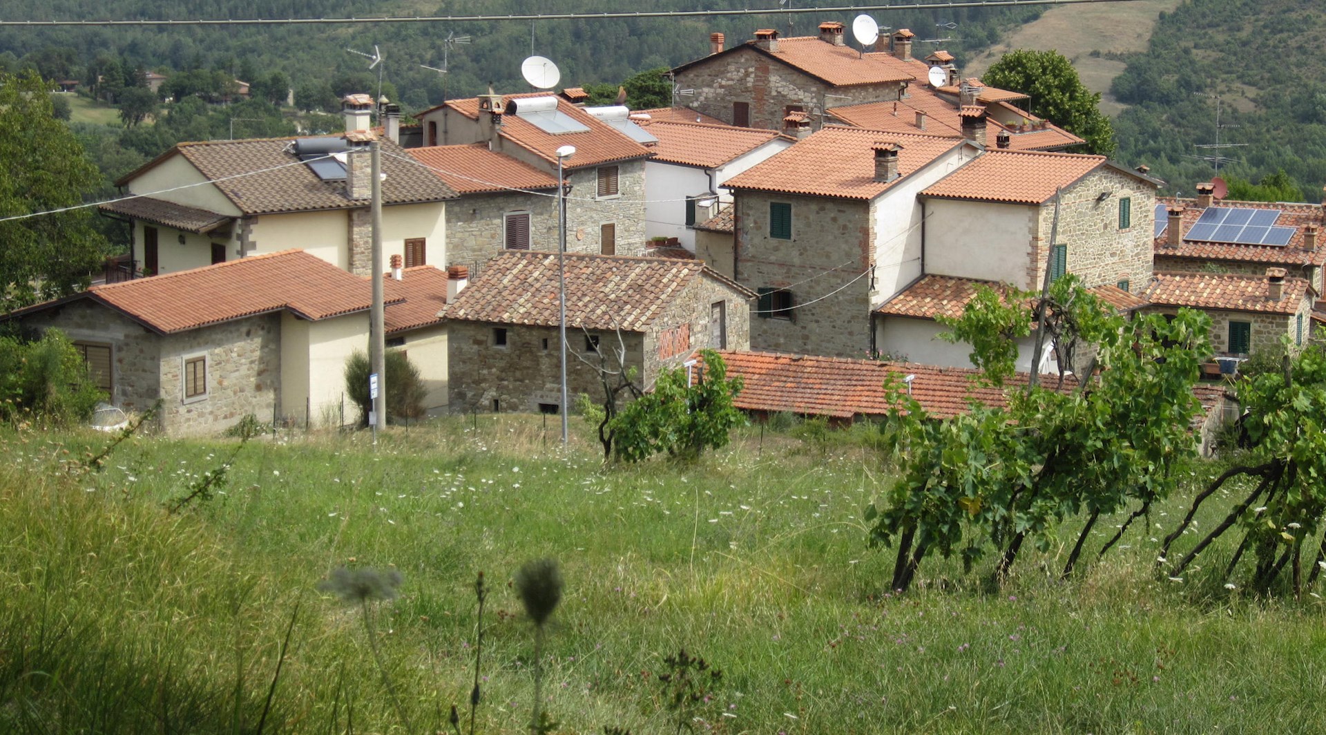Eat Local in Caprese Michelangelo - TasteAtlas