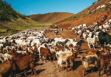 Mongolian Food Homepage: Discover Mongolian Cuisine | TasteAtlas