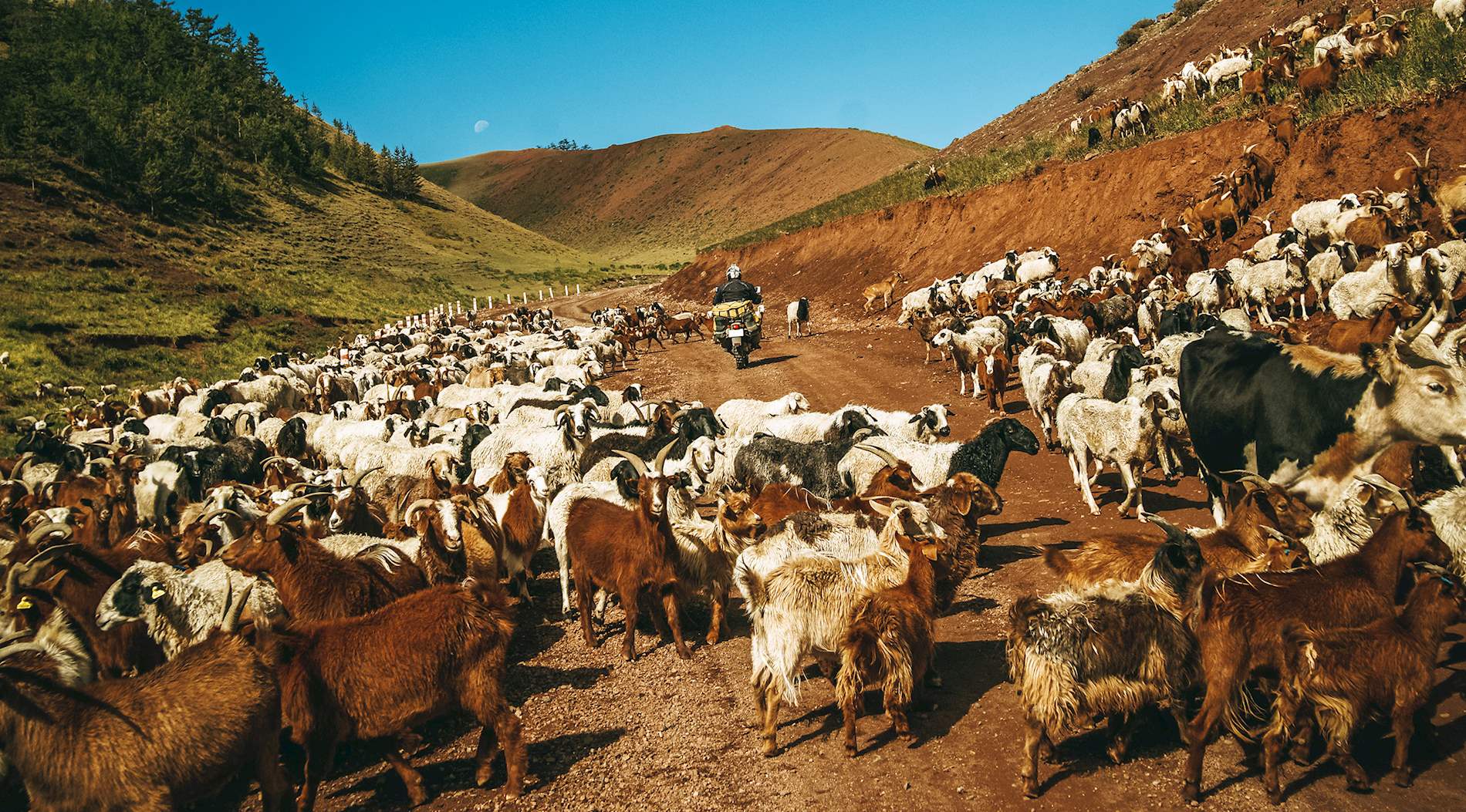 Eat Local in Uvs Province