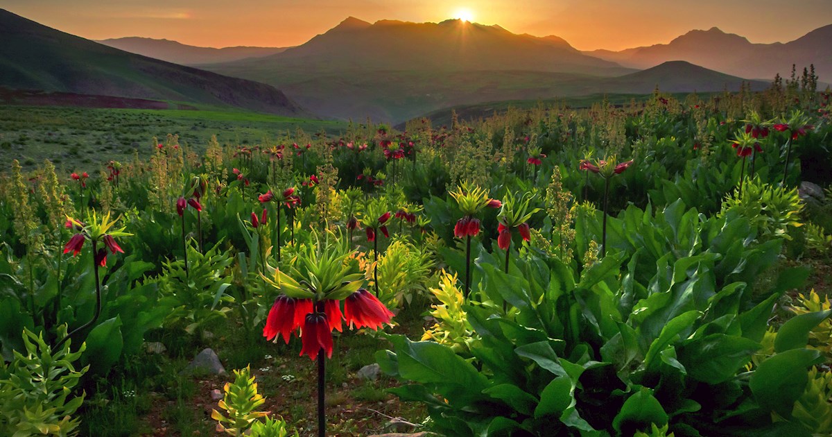 Eat Local in Chaharmahal and Bakhtiari Province - TasteAtlas