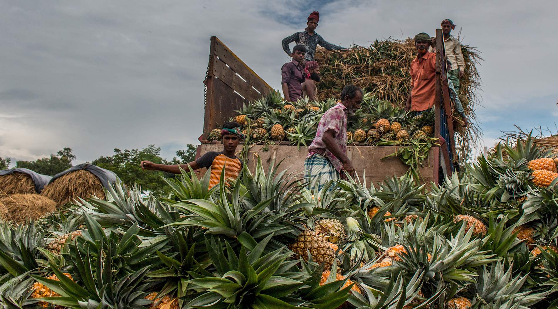 Eat Local in Tangail