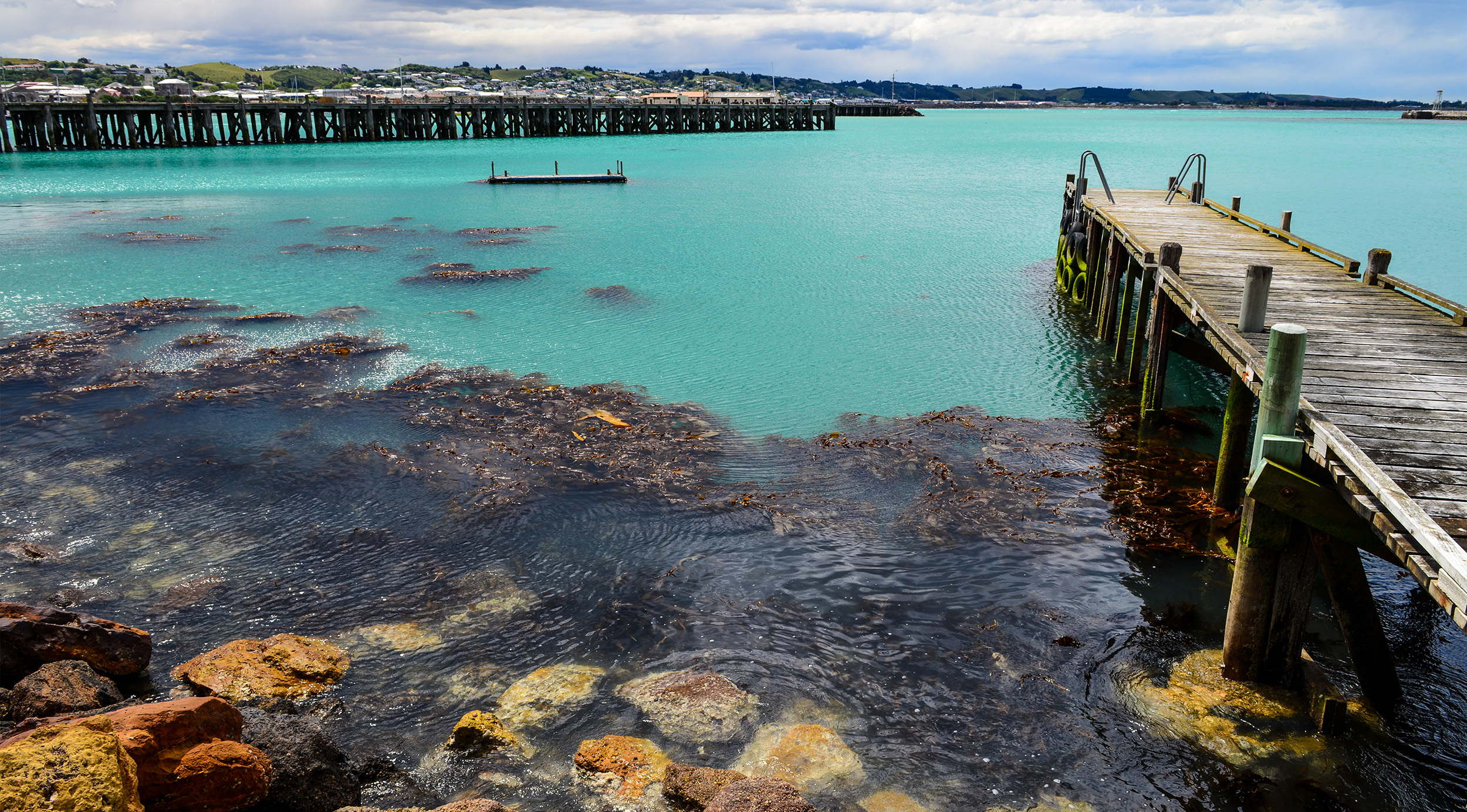 What to Eat in Oamaru | Oamaru Local Food | TasteAtlas