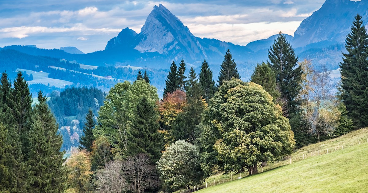 Eat Local in the Canton of Zug