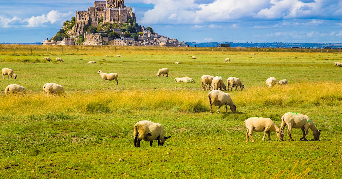 Norman Food Map | TasteAtlas