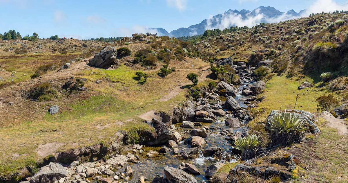 Eat Local in Mérida State