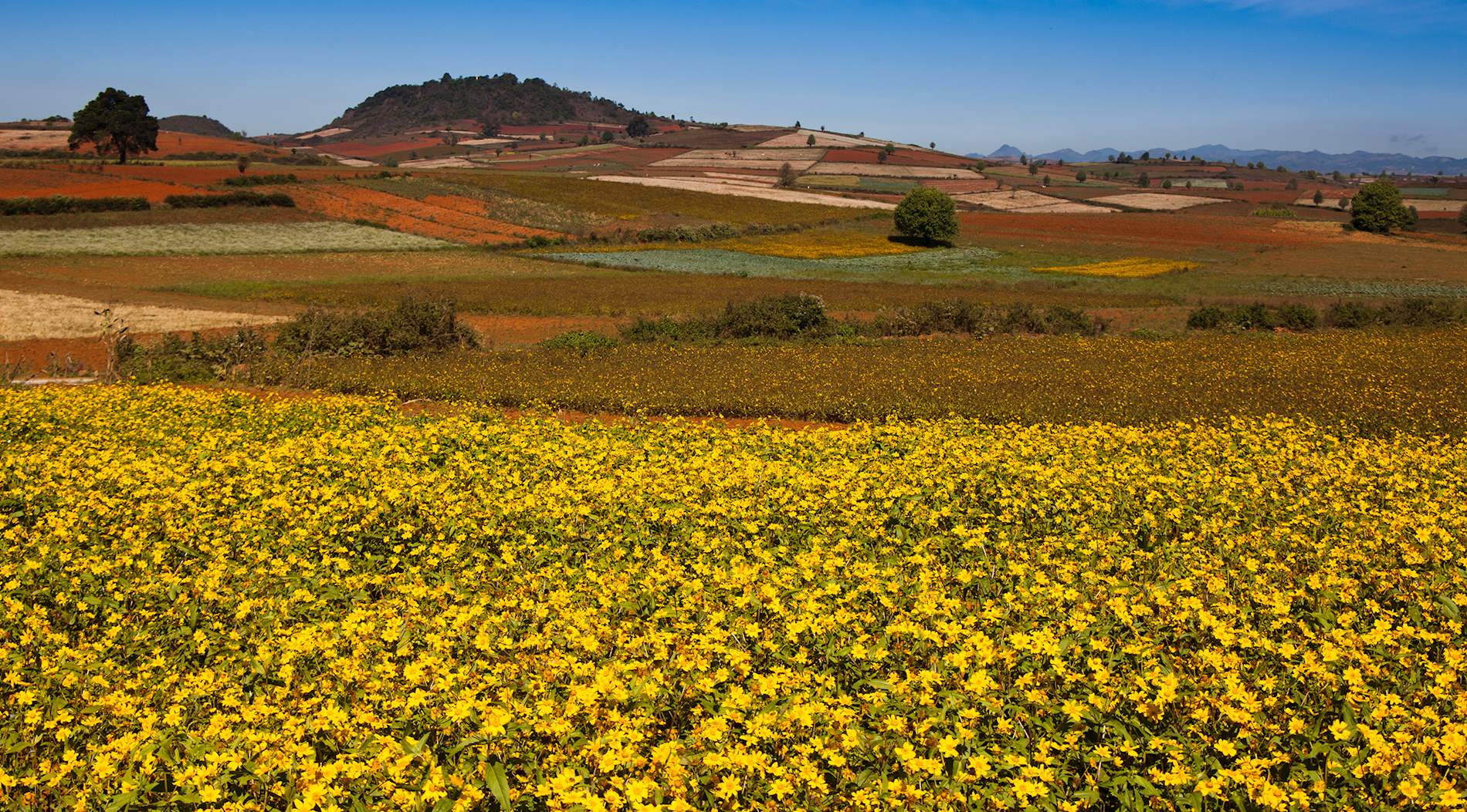 Eat Local in Shan Eat Local in Shan