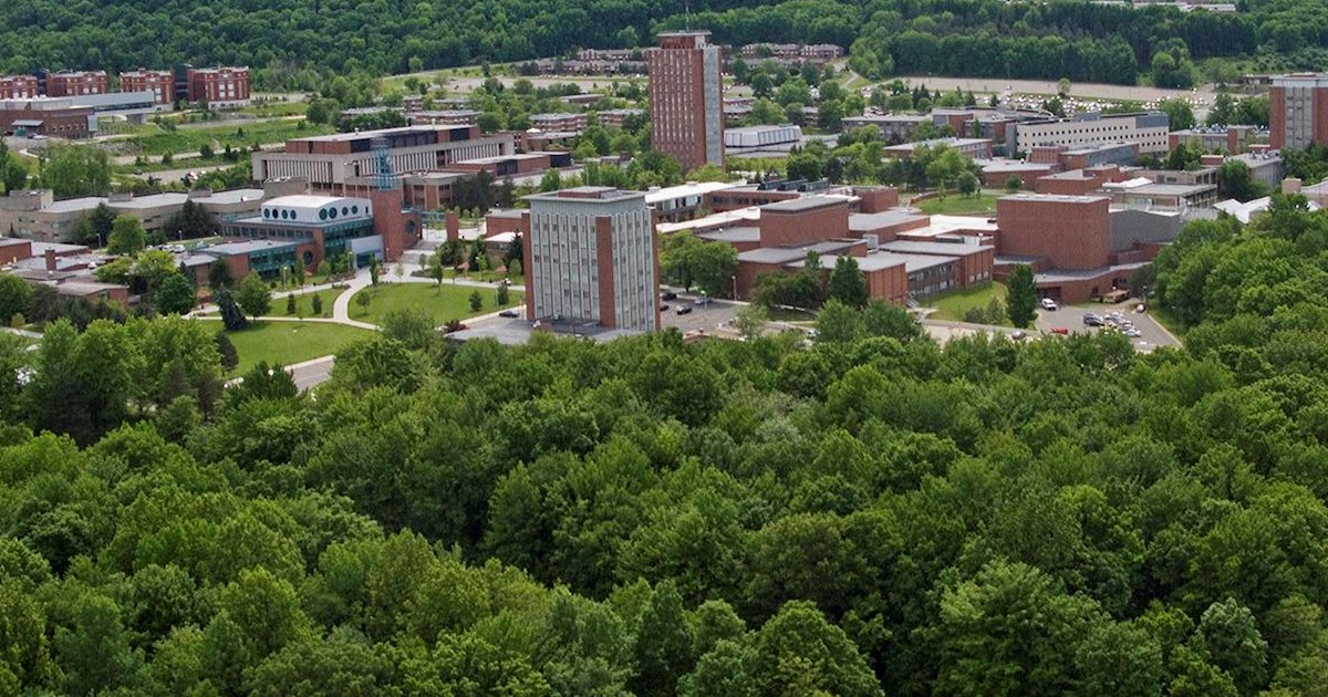 Eat Local in Binghamton - TasteAtlas