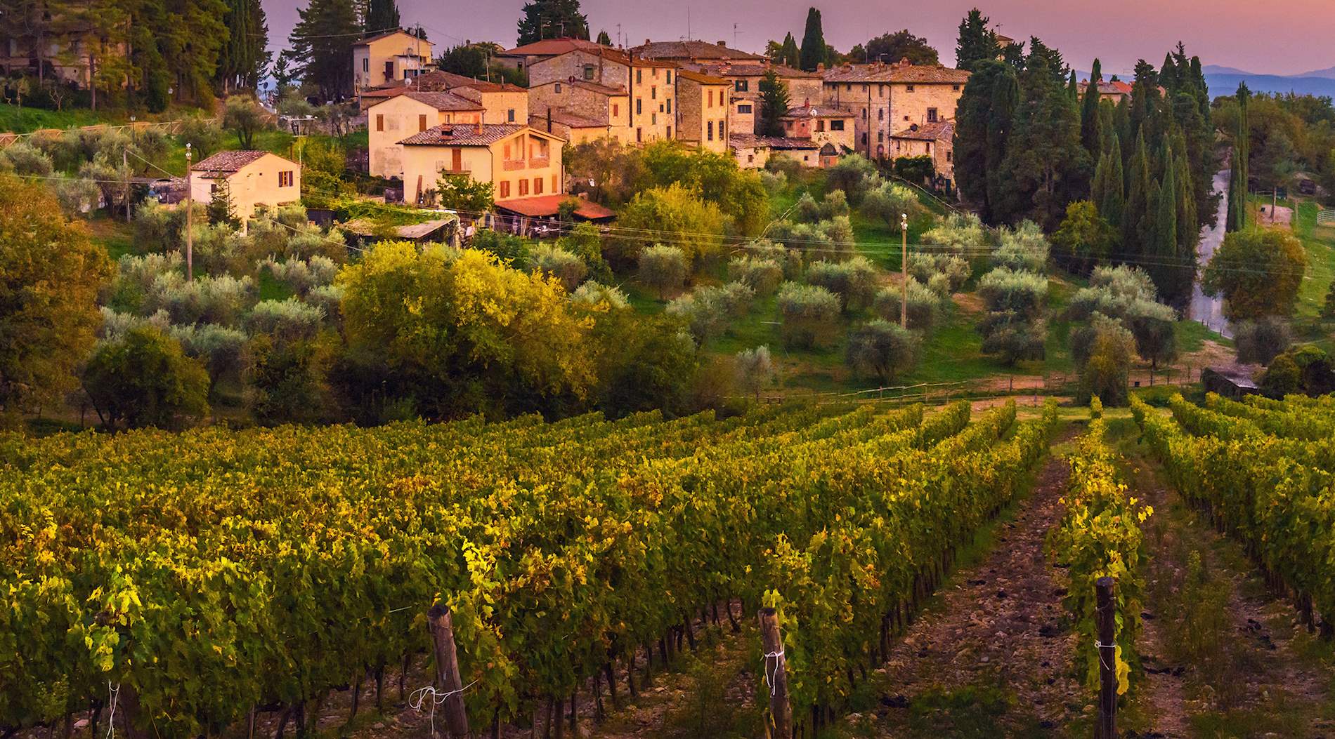Eat Local in Castellina