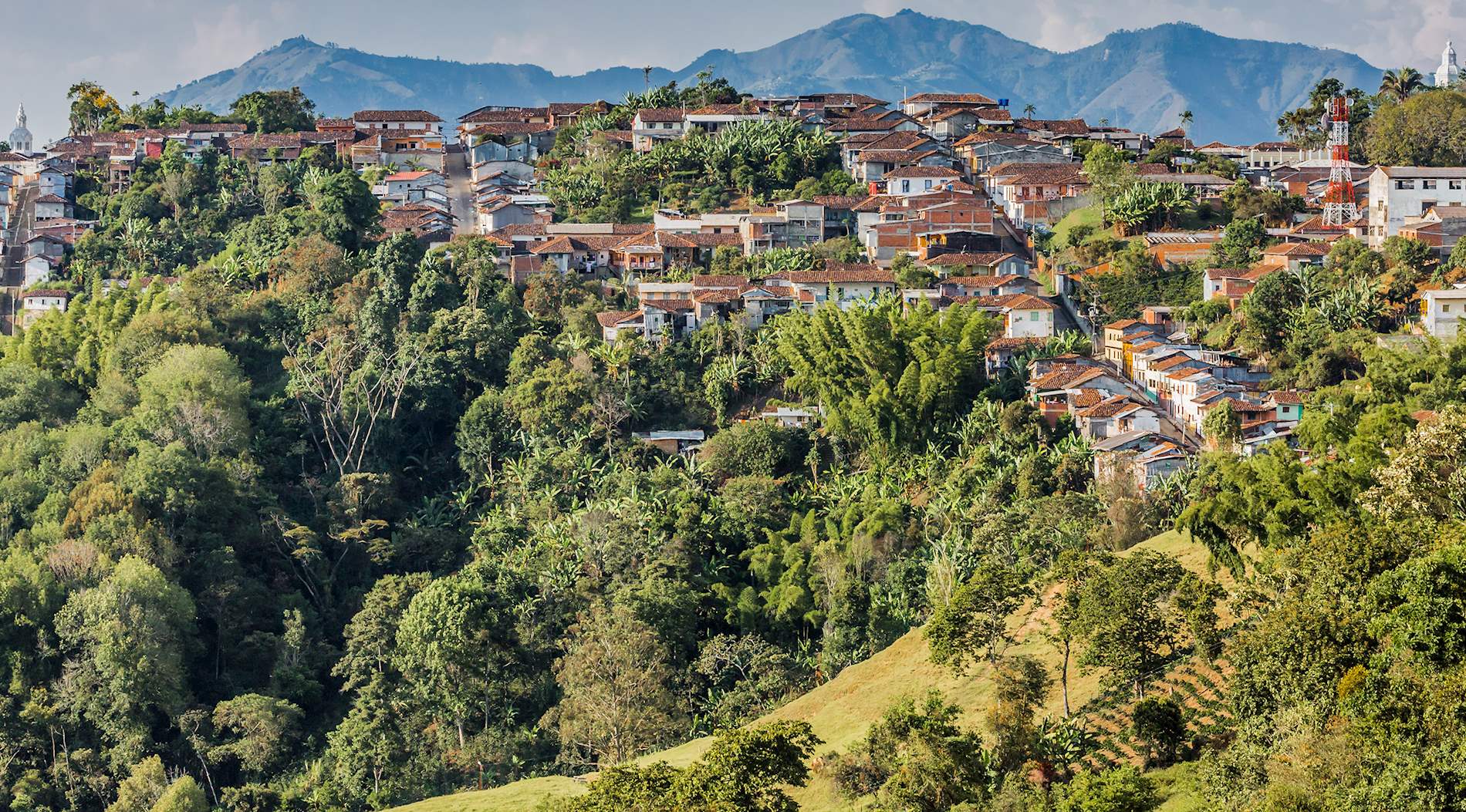 Eat Local in Caldas Department