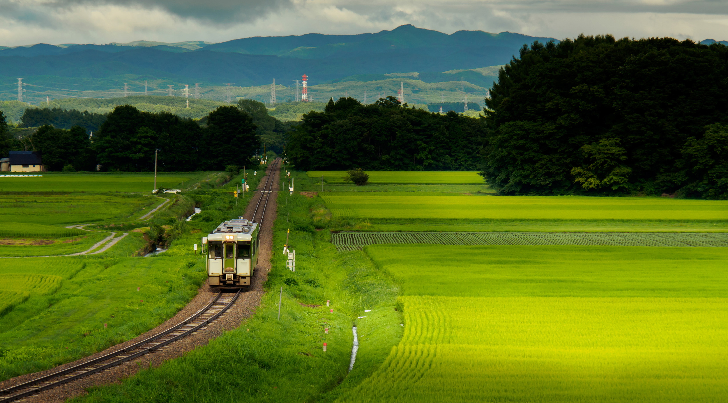 Eat Local in Iwate Prefecture
